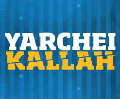 YARCHEI KALLAH RABBI DOVID GOLDWASSER, RABBI FISHEL SCHACHTER, RABBI ...